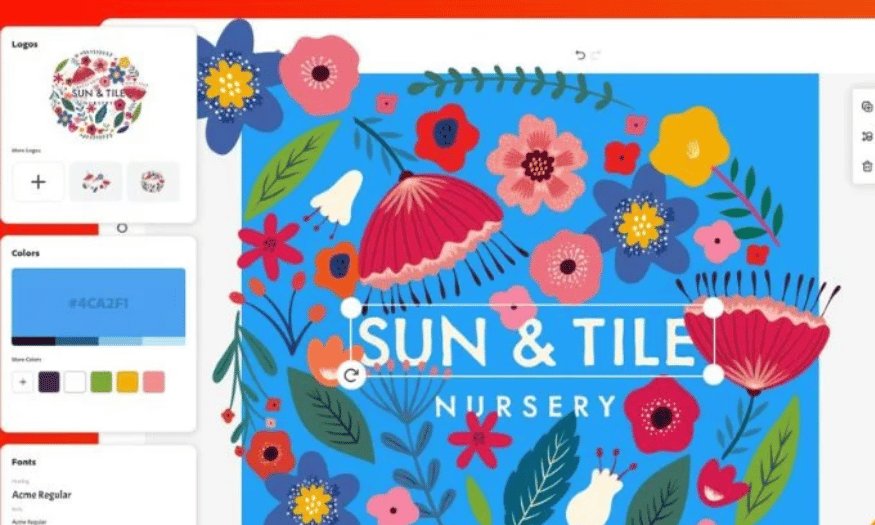 Explore the Adobe Express Feature Set